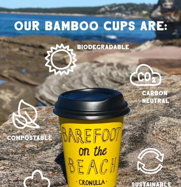 Brochures | Packaging, Cups, Plates, Trays, Bags, Containers ...